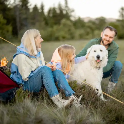 Zooplies | Tienda para Mascotas