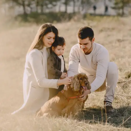 Zooplies | Tienda para Mascotas